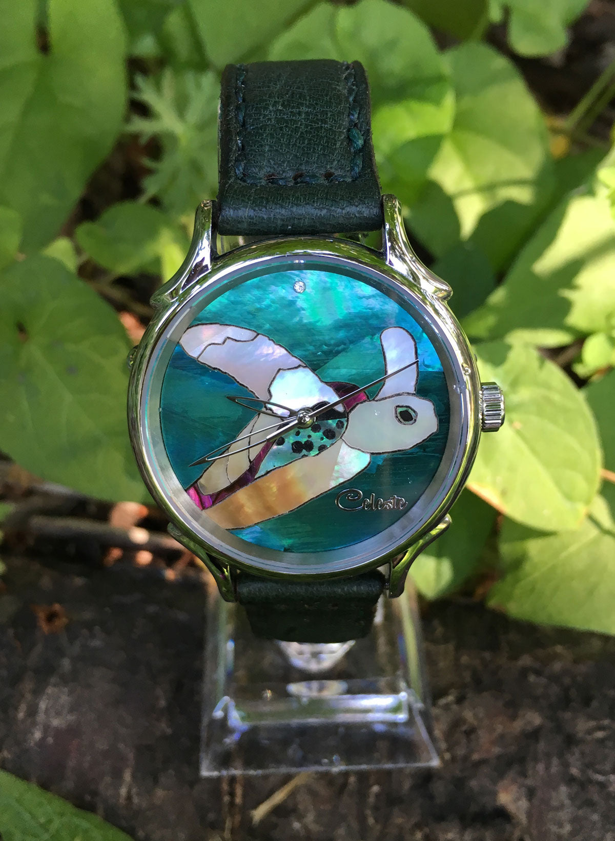 Sea Turtles – Celeste Watch Company